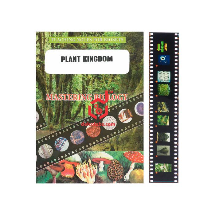 Bioviewer Slide Set - The Plant Kingdom