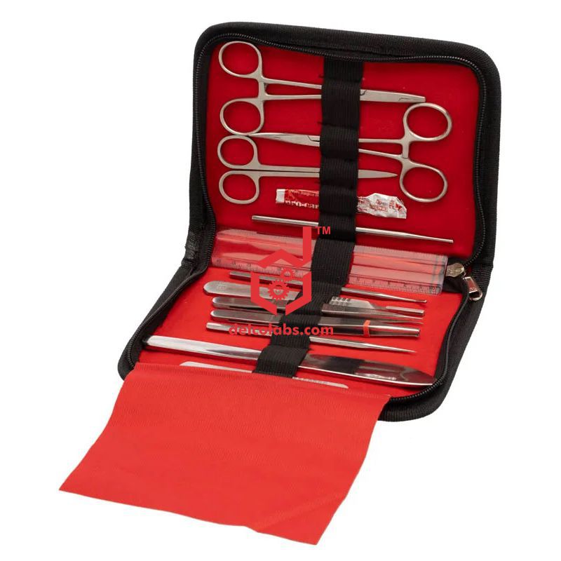 Dissecting Set Anatomy